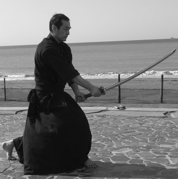 About Nami ryu | Flagstaff | Nami ryu Aiki Heiho